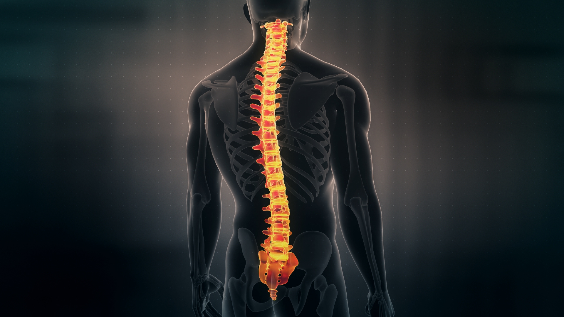 Things to Know about Your Spinal Cord